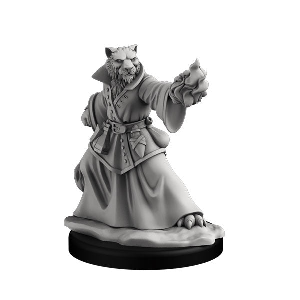 Catfolk Sorcerer – Next Level Miniatures