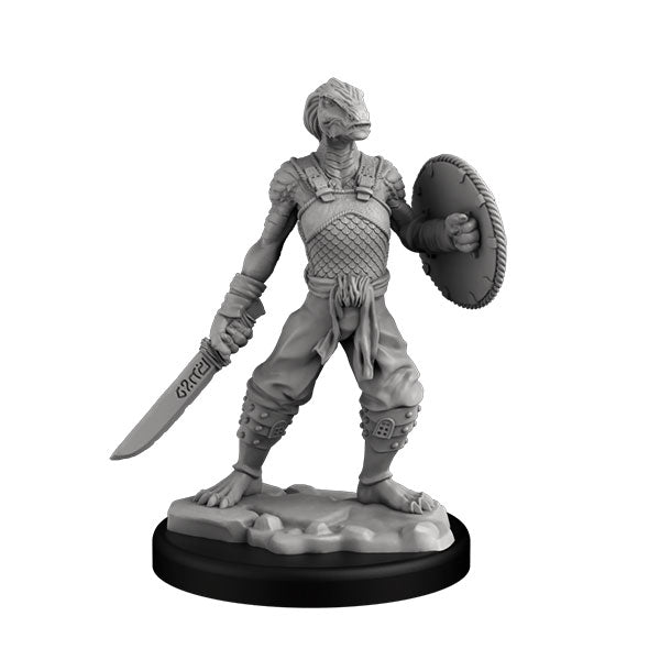 Dragonborn Fighter – Next Level Miniatures